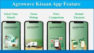 Agrowave: Captivating Journey of Agri Supply Chain from 2017