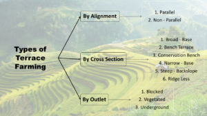 Terrace Farming in India: Comprehensive Guide for 2024