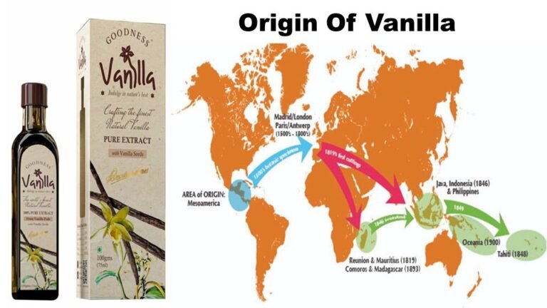 How Vanilla is Made: 3 Steps to Make Jaw-Dropping Flavours
