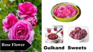 10 Beautiful Flowers We Eat As Vegetables For A Healthy Life