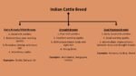 20 Indian Cattle Breeds: Types of Cows in India