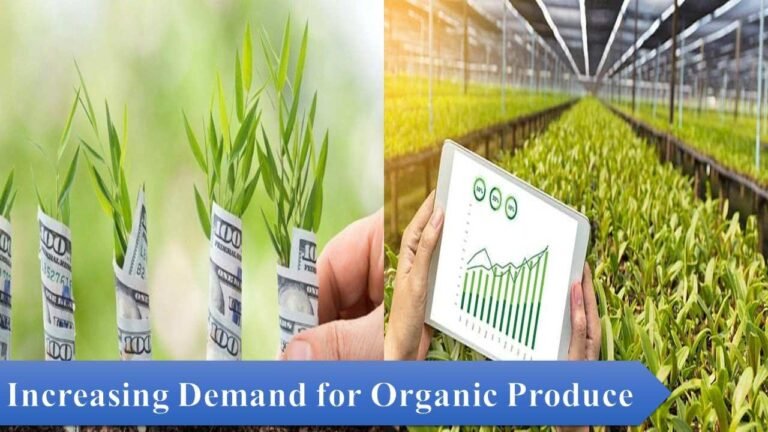 Is Organic Farming Profitable? Harvesting Profits