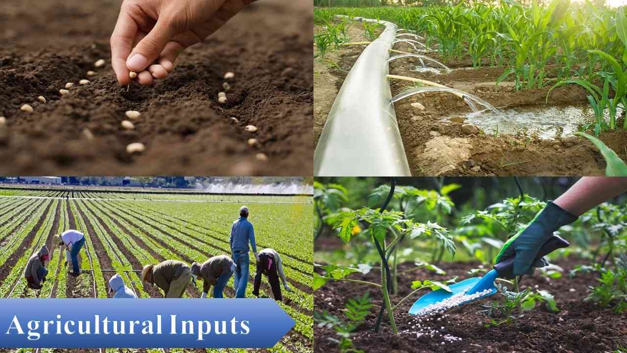 Is Organic Farming Profitable? Harvesting Profits
