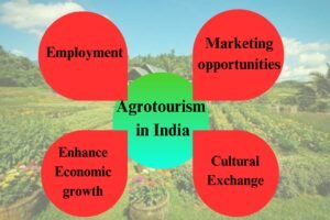 What is Agrotourism ? Agrotourism in India