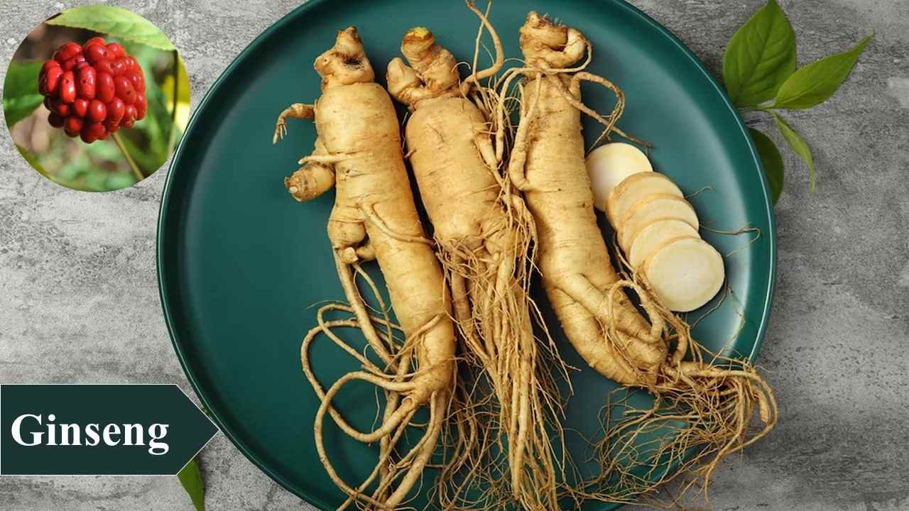 20 Best Low Investment High Profit Crops to Make You Rich