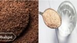 Top 15 Medicinal Plants and Their Uses