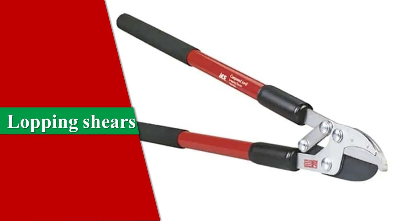 Top 23 Garden Tools and Their Uses Everyone Must Know
