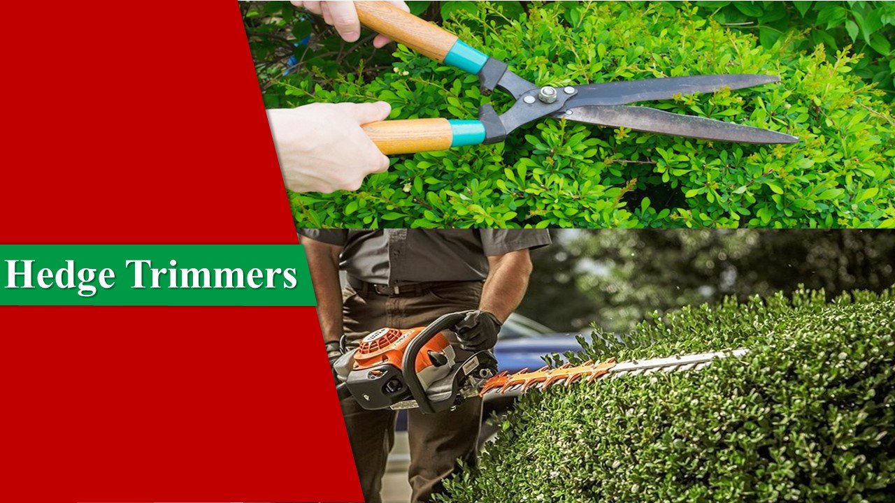 Top 23 Garden Tools and Their Uses Everyone Must Know