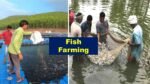 Is Farming Profitable In India? A Comprehensive Guide