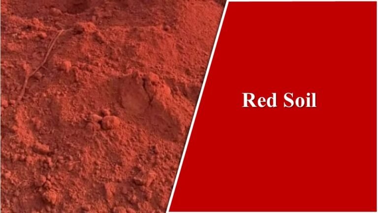 Types of Soil in India: The Fabulous 8 Basic Types